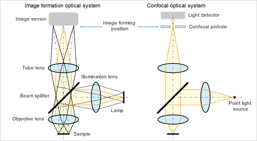 1. Principles of Laser Scanning Microscopes | Olympus IMS
