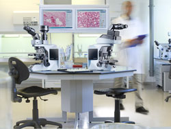 Routine Microscopy: Improving Productivity Through Better Ergonomics ...