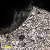 Using the Olympus OLS5000 Laser Confocal Microscope to Measure Dross in ...