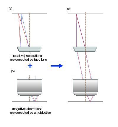 The Importance of Compensation-Free Optics in Microscope Design ...