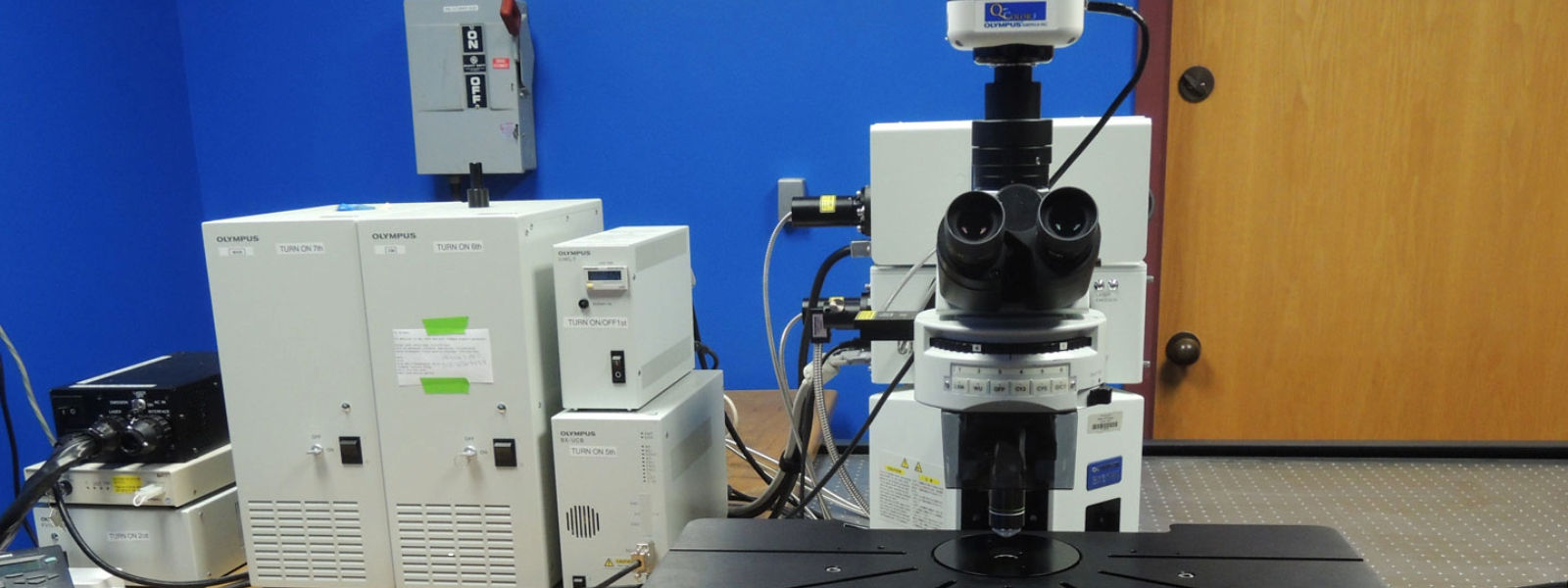 Biofilms in Space—Confocal Laser Scanning Microscopy Helps NASA ...