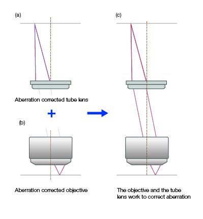 The Importance of Compensation-Free Optics in Microscope Design | Olympus LS
