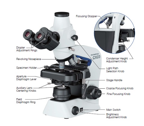 How to Safely Use Microscopes in Any Educational Setting | Olympus LS