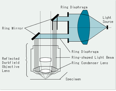 What is the Reflected Darkfield Observation? | Learn about Microscope ...