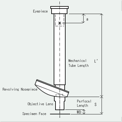 What is the Mechanical Tube Length? | Learn about Microscope | Olympus