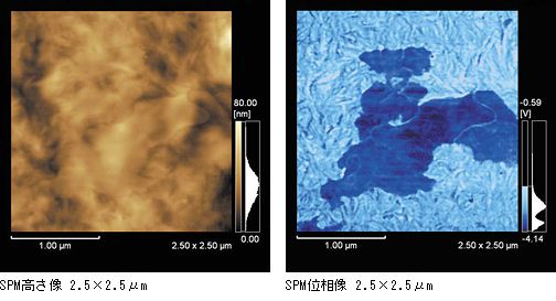 What is a Probe Microscope? [Scanning Probe Microscope(SPM)] | Olympus IMS
