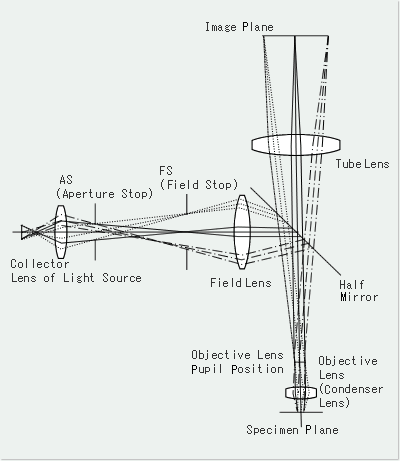 What is a Reflected Illumination? | Learn about Microscope | Olympus