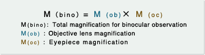 What is the Total Magnification? | Learn about Microscope | Olympus