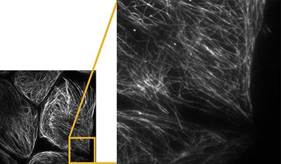 X Line Objectives Offer Revolutionary Optical Performance Thanks to ...