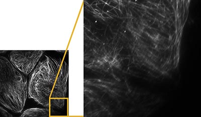 X Line Objectives Offer Revolutionary Optical Performance Thanks to ...