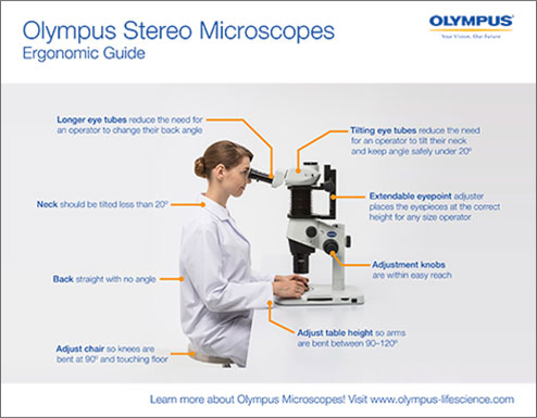 Stereo Microscopes | Olympus LS
