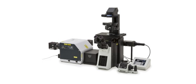 Life Science Microscopes | Evident Scientific