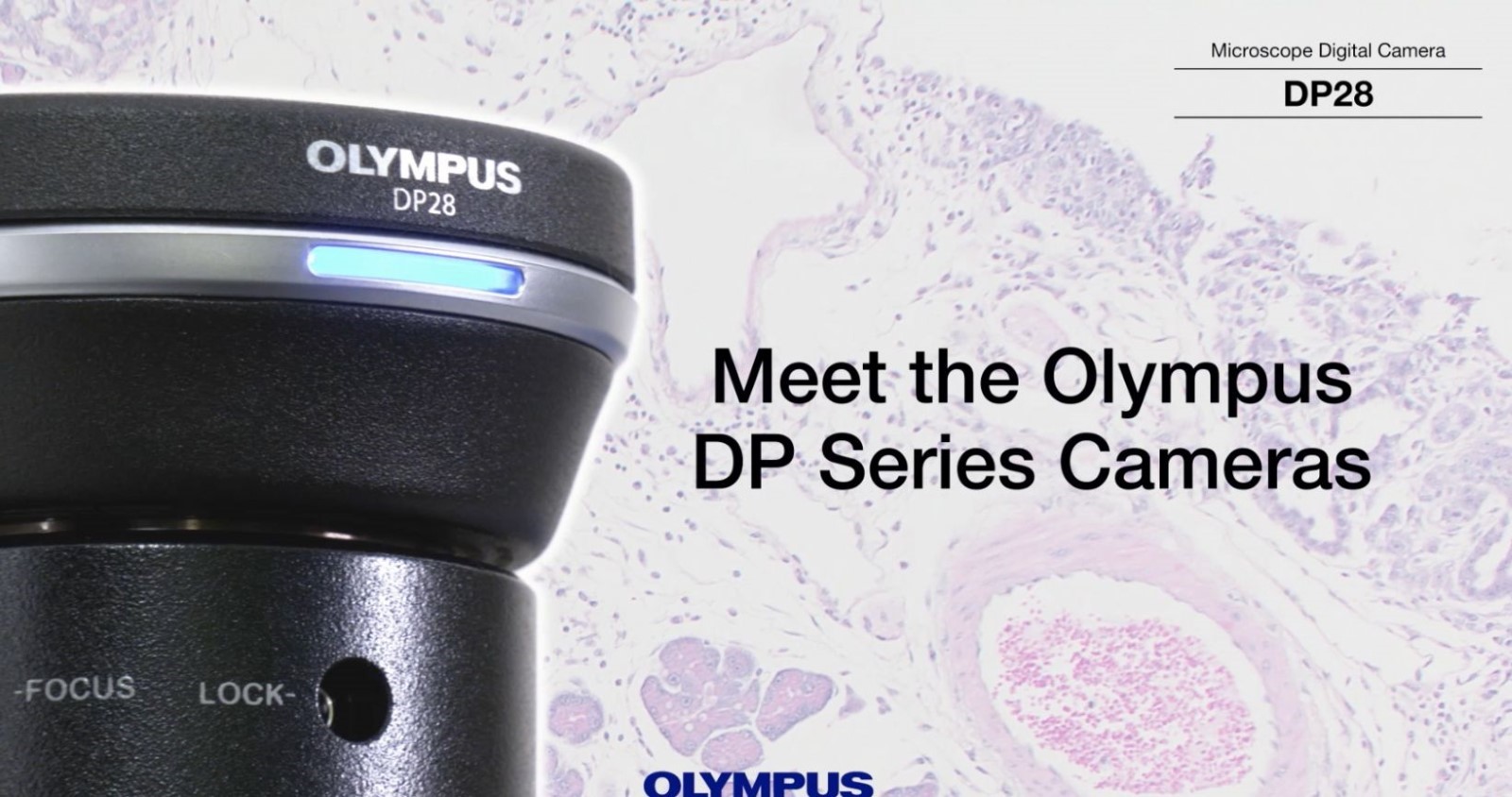 Life Science Microscopes | Evident Scientific