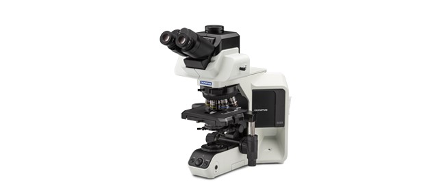 Life Science Microscopes | Evident Scientific