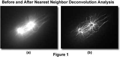 Algorithms for Deconvolution Microscopy