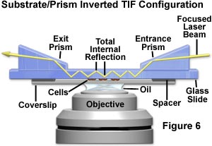 Basic Microscope Configuration