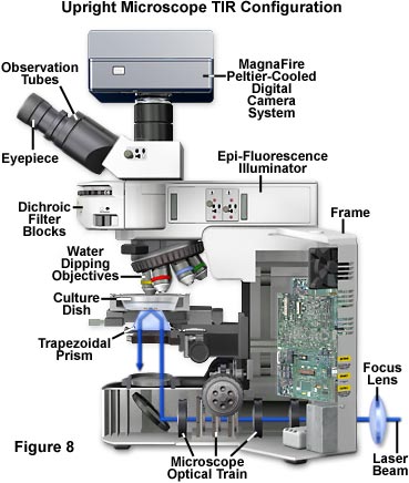 Basic Microscope Configuration