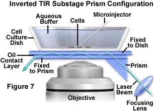 Basic Microscope Configuration
