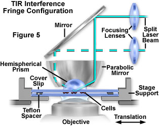 Basic Microscope Configuration
