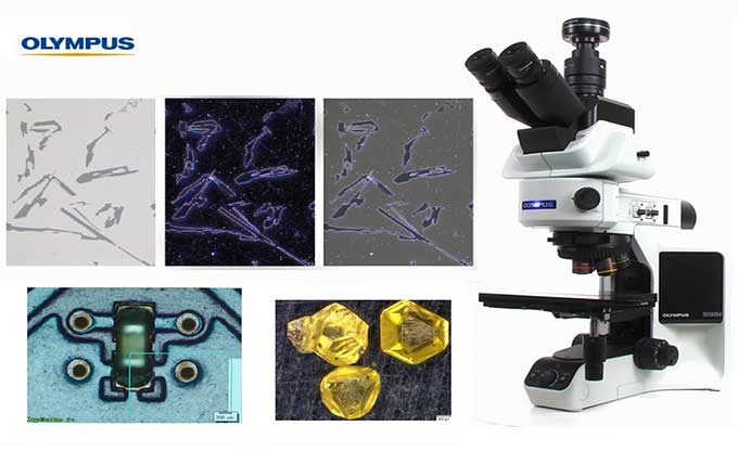 Microscopes optiques composés | Olympus IMS