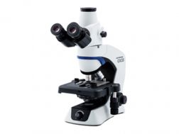 Tests effectués en laboratoire clinique | Olympus LS